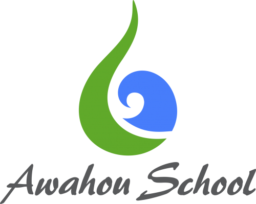 Awahou School – Taking your school to the world!