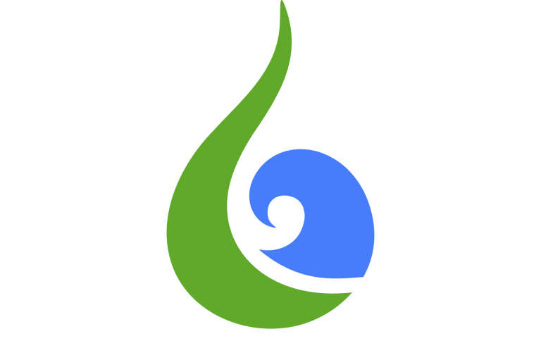 Awahou School – Taking your school to the world!